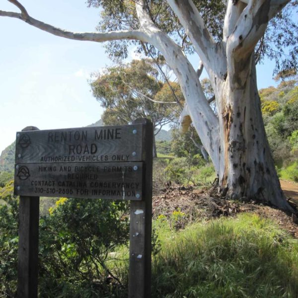 Backpacking the Trans-Catalina Trail