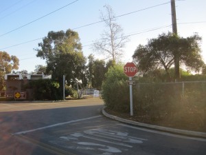 Exploring Doheny State Beach - SoCal Hiker