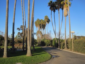 Exploring Doheny State Beach - SoCal Hiker