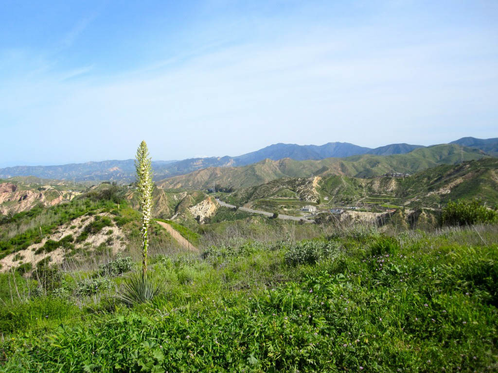 Whiting Ranch: Dreaded Hill & Red Rock Canyon - SoCal Hiker