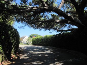 Murphy Ranch - The Nazi Compound in Rustic Canyon