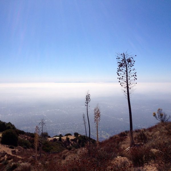 Inspiration Point and Muir Peak - SoCal Hiker