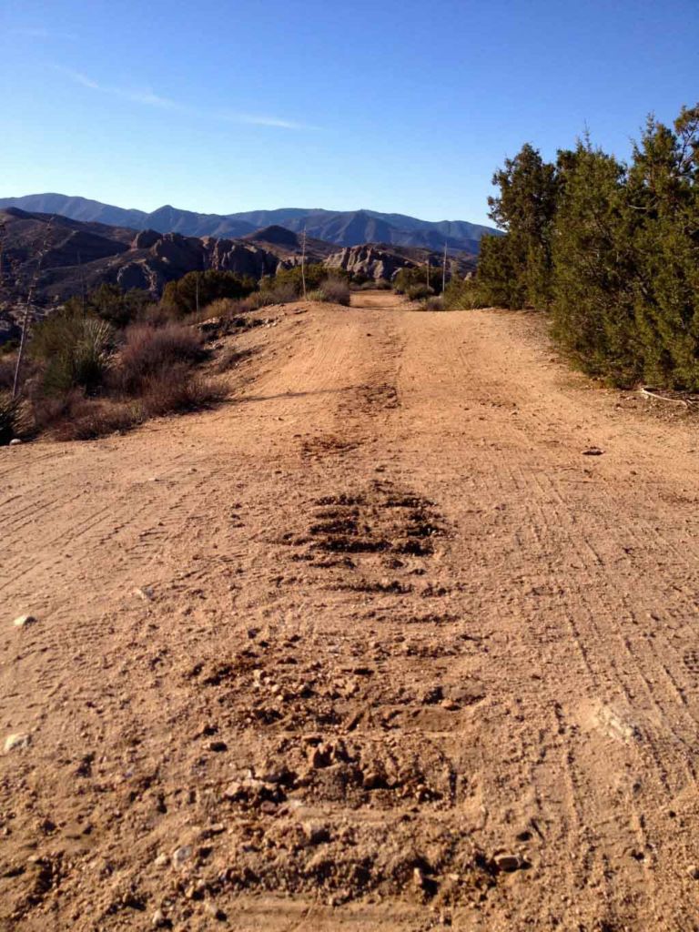 Hiking the PCT in Vasquez Rocks - SoCal Hiker