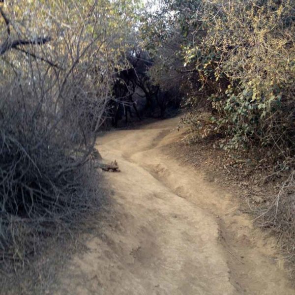 Hike Temescal Canyon Loop | SoCalHiker.net