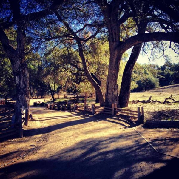 Parker Mesa Overlook from Trippet Ranch - SoCal Hiker