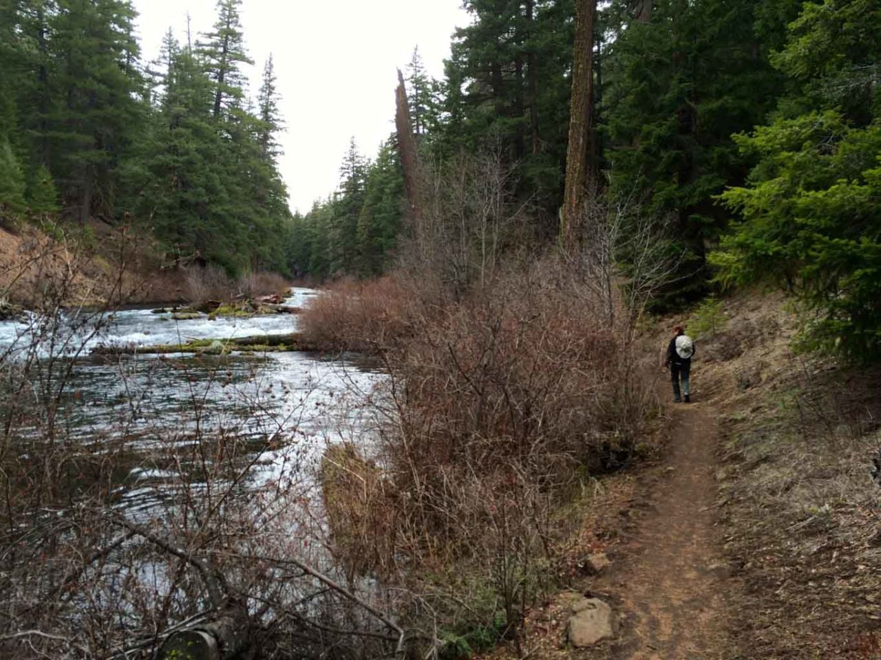 Hiking the Metolius River Trail
