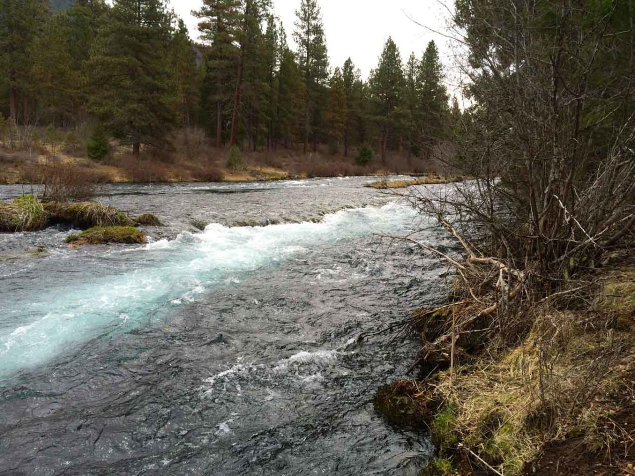 Hiking the Metolius River Trail