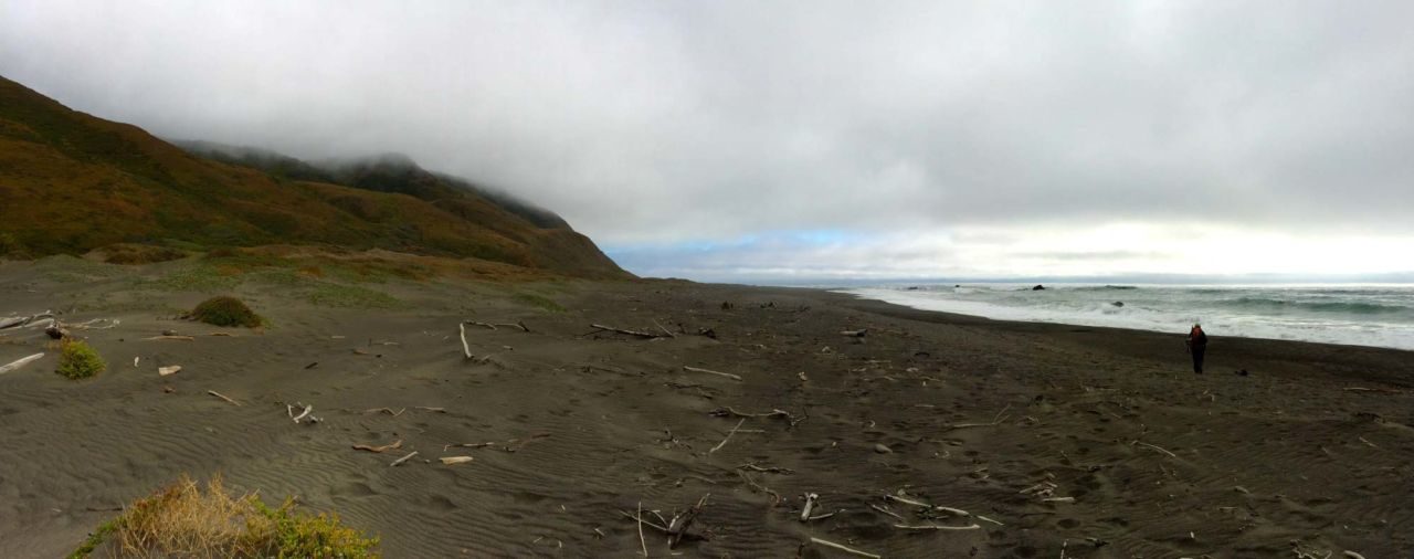 Lost Coast Trail: Mattole Beach to Sea Lion Gulch - SoCal Hiker