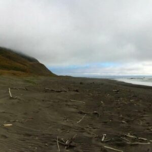 Lost Coast Trail: Mattole Beach to Sea Lion Gulch - SoCal Hiker