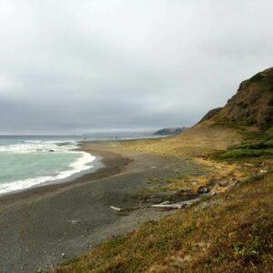 Lost Coast Trail: Mattole Beach to Sea Lion Gulch - SoCal Hiker