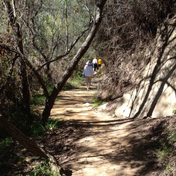 Hiking to Skull Rock on the Temesecal Loop