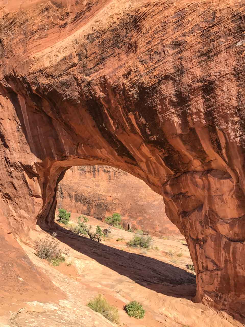 Hiking the Devil's Garden Loop in Arches National Park - SoCal Hiker