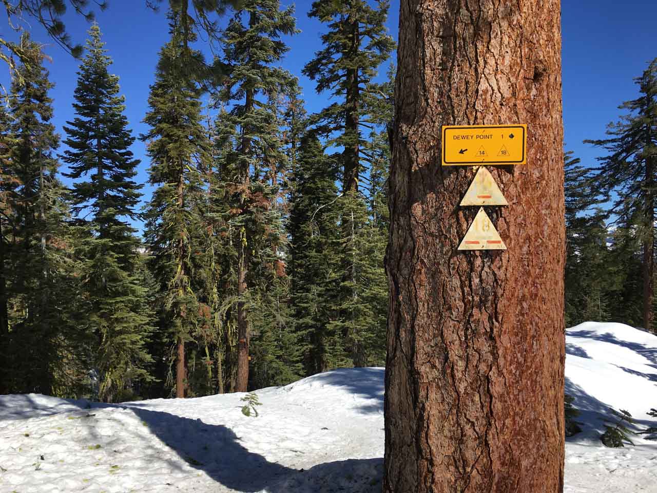 Snowshoeing to Dewey Point in Yosemite - SoCal Hiker