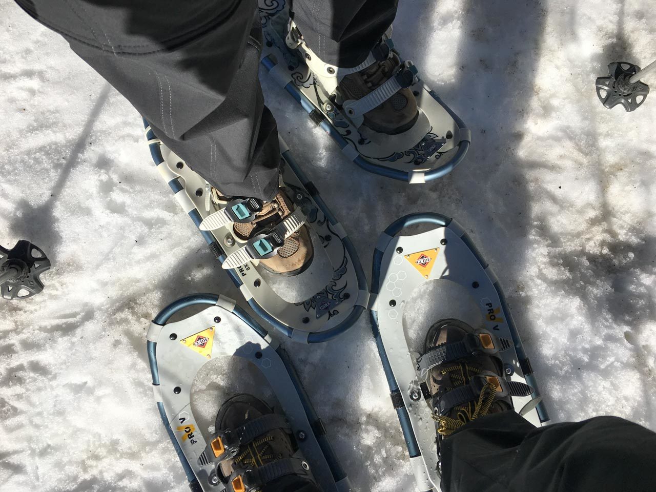 How to Snowshoe - SoCal Hiker