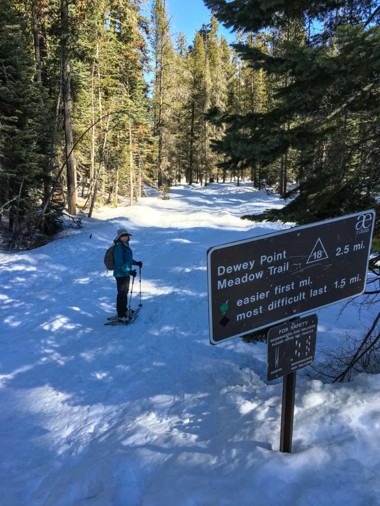 Snowshoeing to Dewey Point in Yosemite - SoCal Hiker