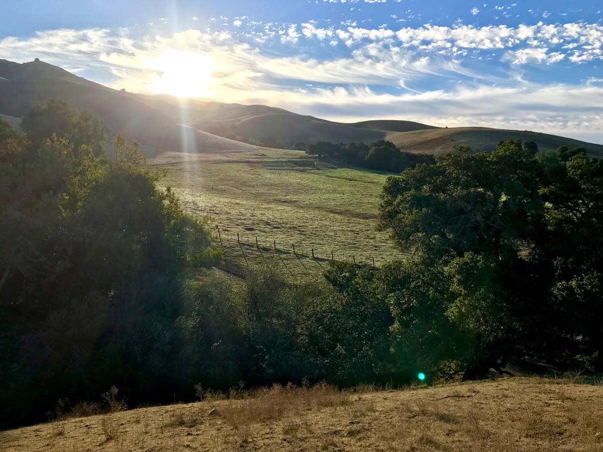 Hiking to Mission Peak in the East Bay