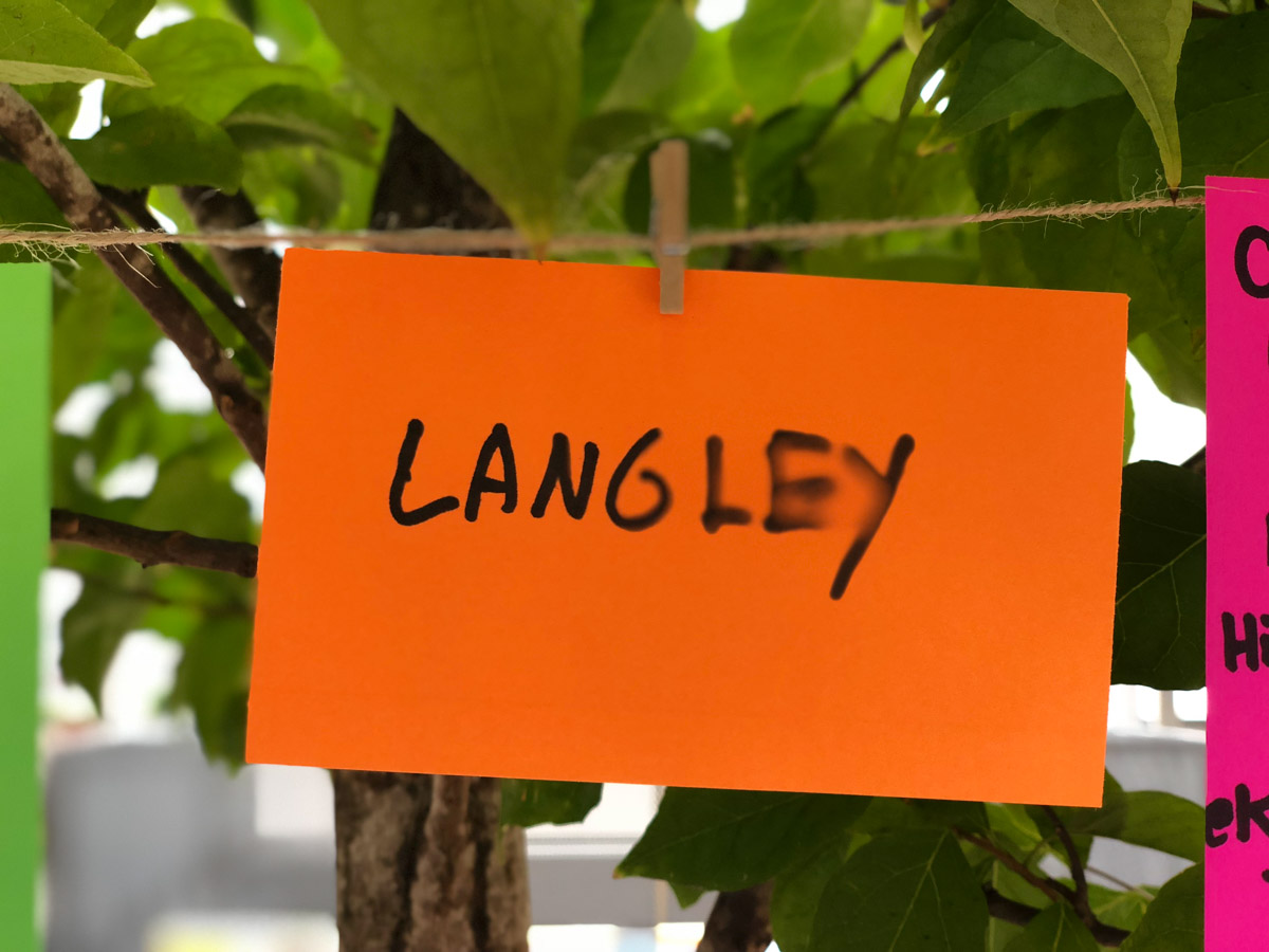 Where Adventures are Born: The value of writing your adventure goals