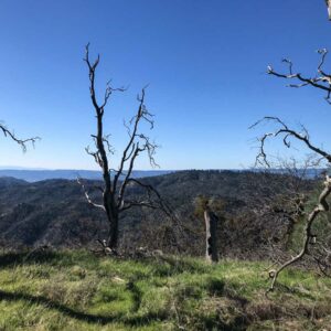 Hiking Mount Sizer Loop in Henry Coe State Park - SoCal Hiker