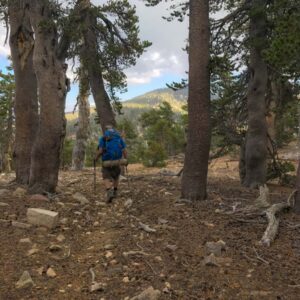 Backpacking San Bernardino and San Gorgonio Peaks - SoCal Hiker