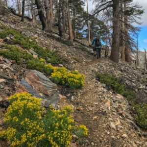 Backpacking San Bernardino and San Gorgonio Peaks - SoCal Hiker