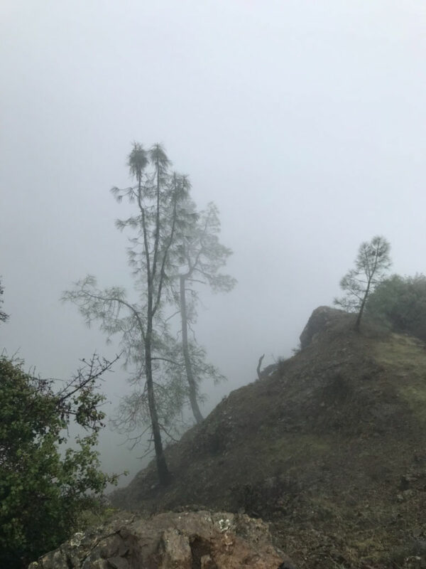 Hiking Mount Umunhum