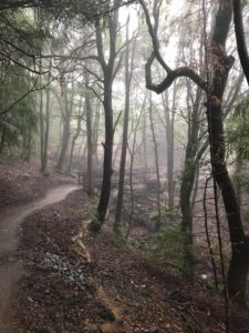 Hiking Mount Umunhum