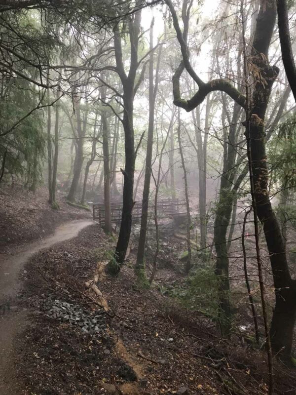 Hiking Mount Umunhum