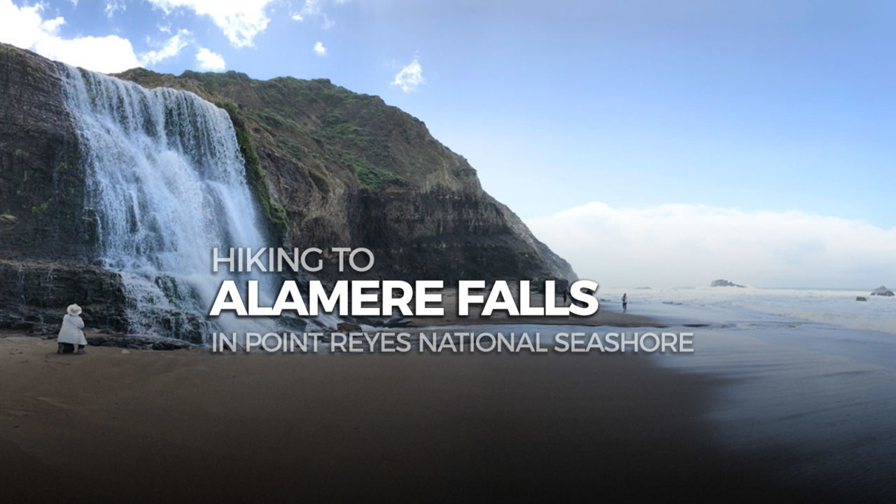 Hiking to Alamere Falls in Point Reyes National Seashore