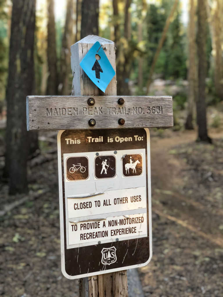 Hiking Maiden Peak in the Willamette National Forest
