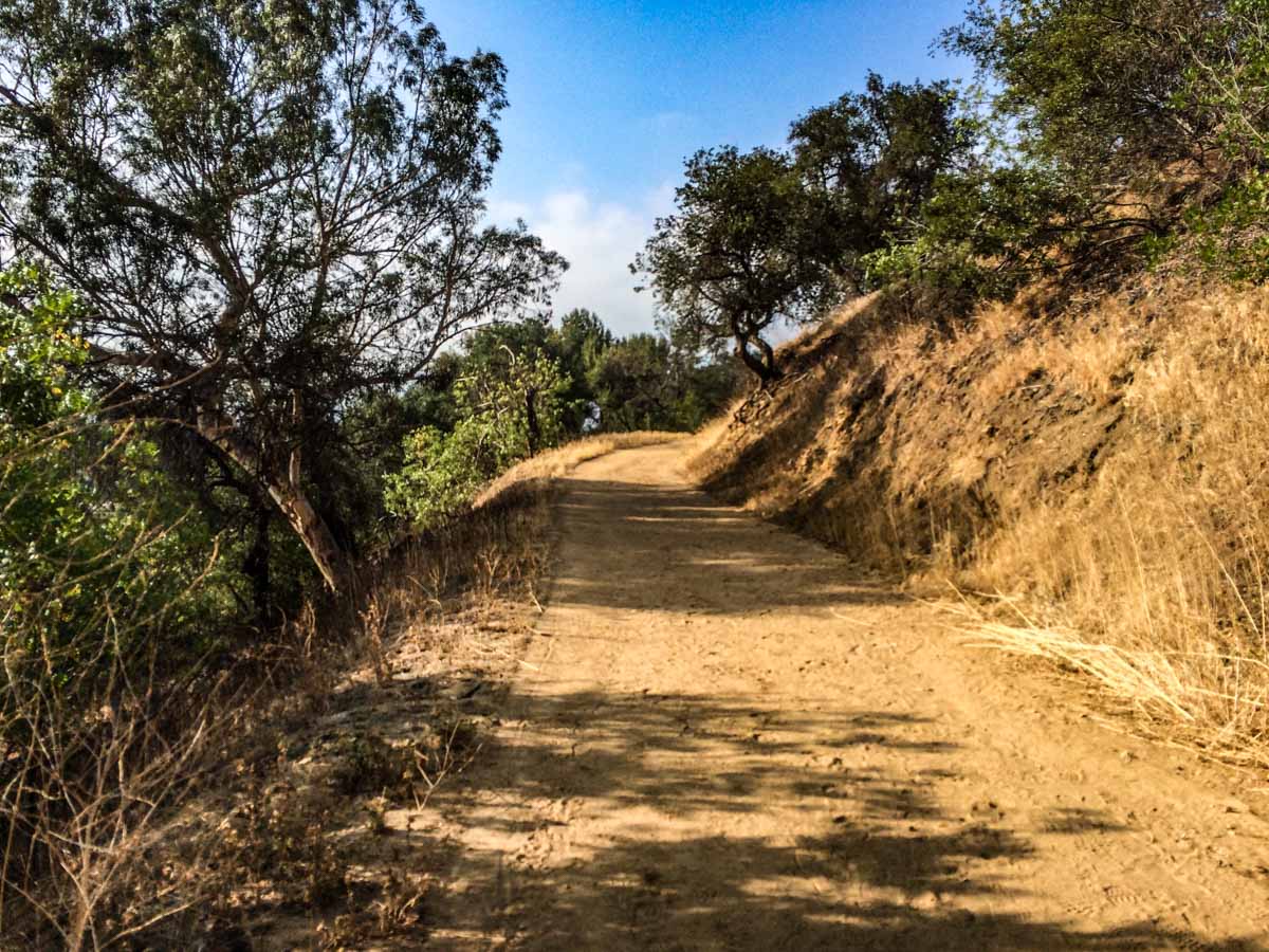 Hiking Beacon Hill Loop in Griffith Park - SoCal Hiker