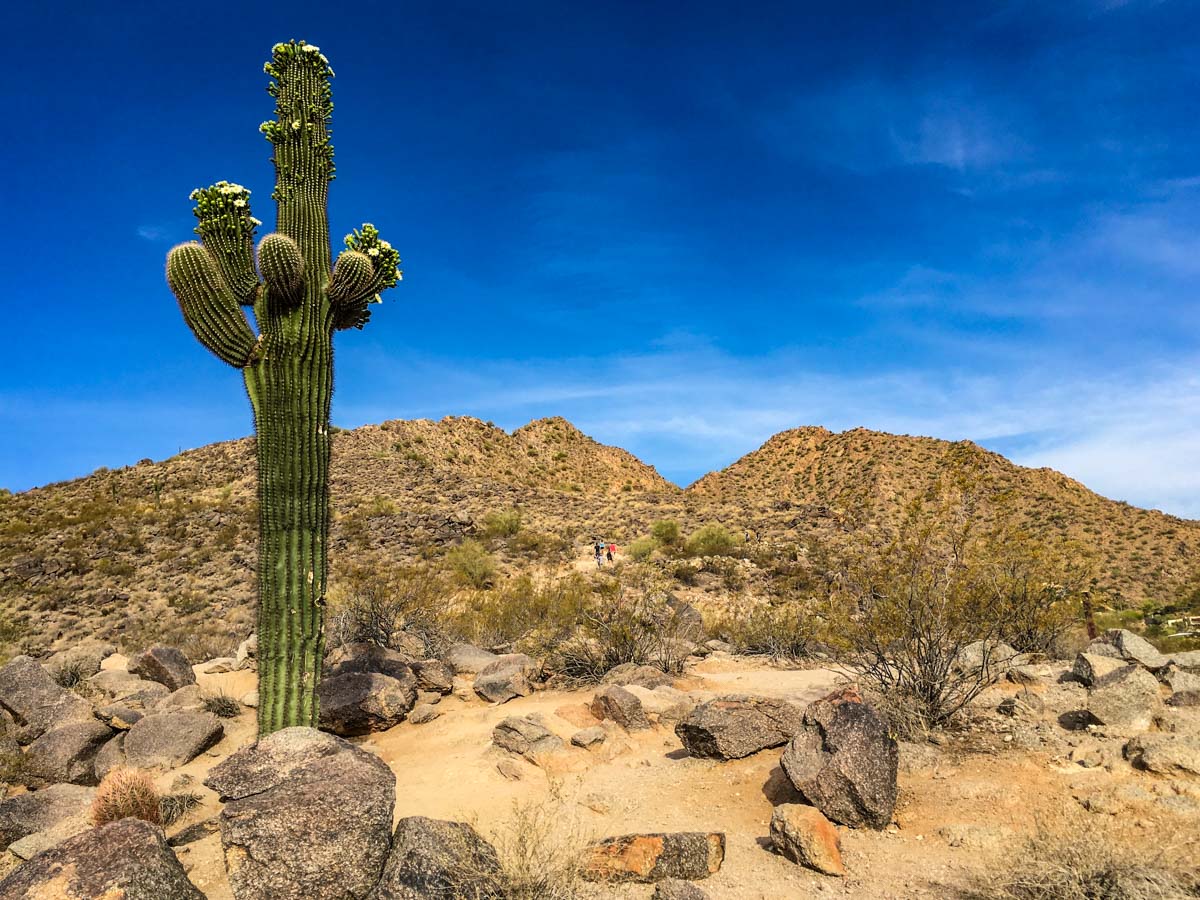 Hiking Camelback Mountain via the Cholla Trail - Arizona Six-Pack of ...