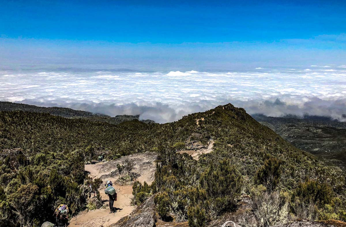 Trekking Mount Kilimanjaro