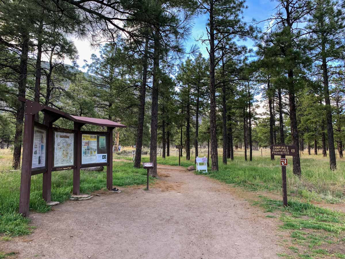 Hiking to Mount Elden in the Coconino National Forest