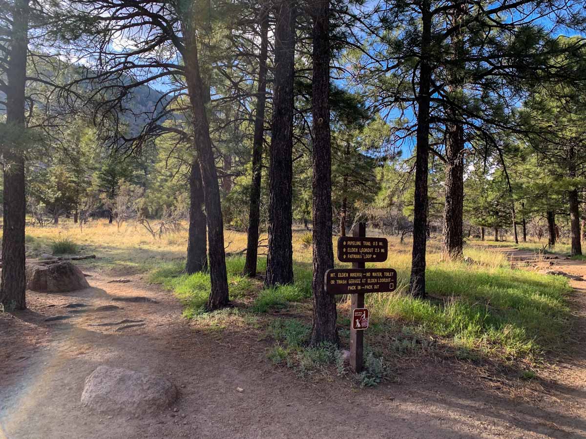 Hiking to Mount Elden in the Coconino National Forest