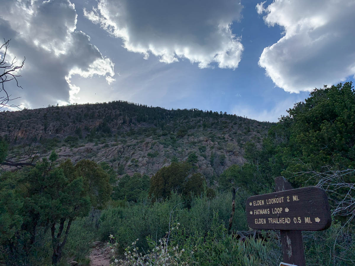 Hiking to Mount Elden in the Coconino National Forest