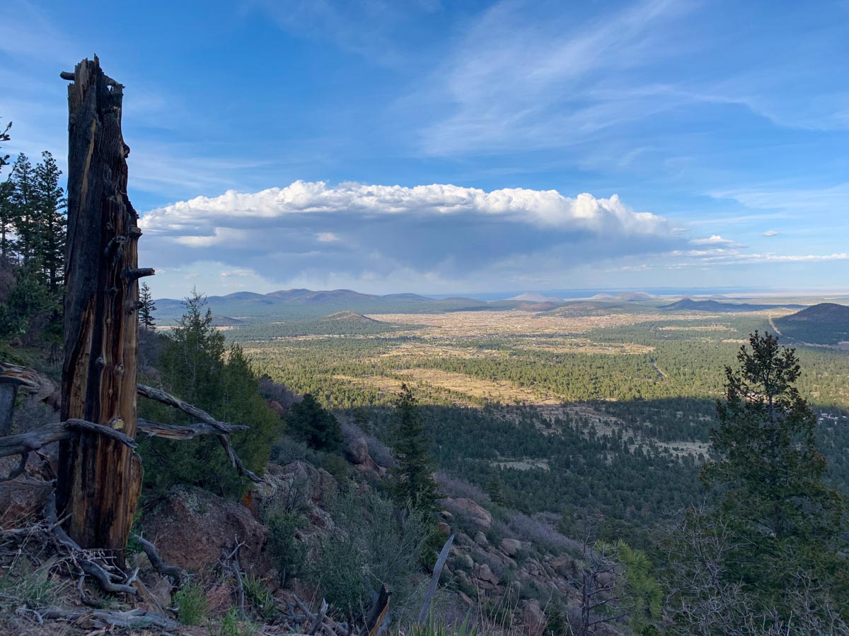Hiking to Mount Elden in the Coconino National Forest