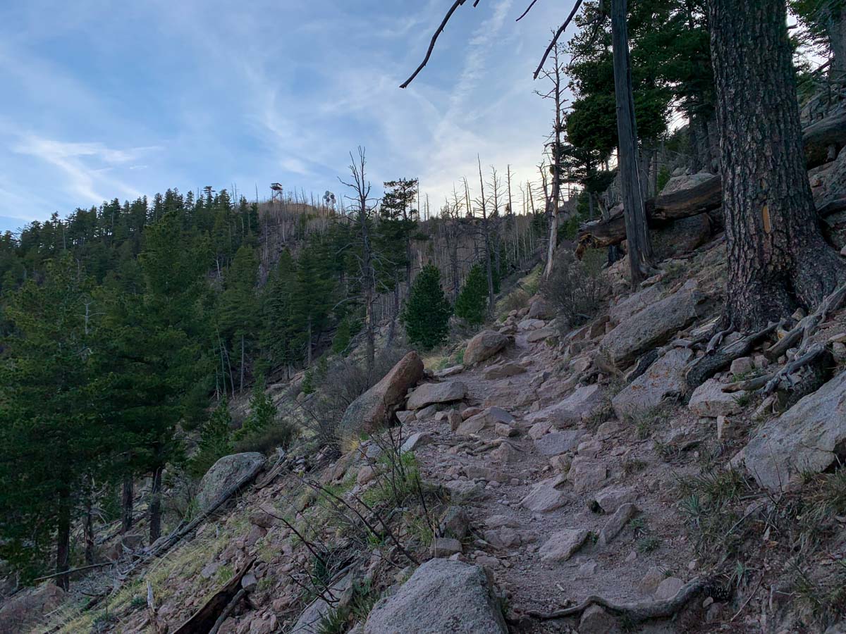 Hiking to Mount Elden in the Coconino National Forest