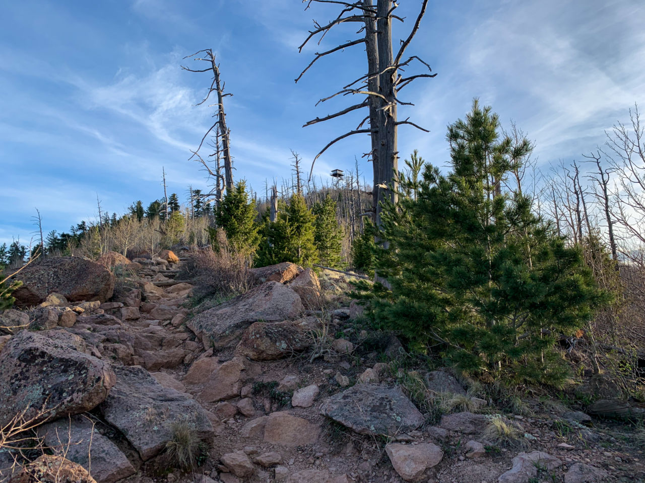 Hiking to Mount Elden in the Coconino National Forest