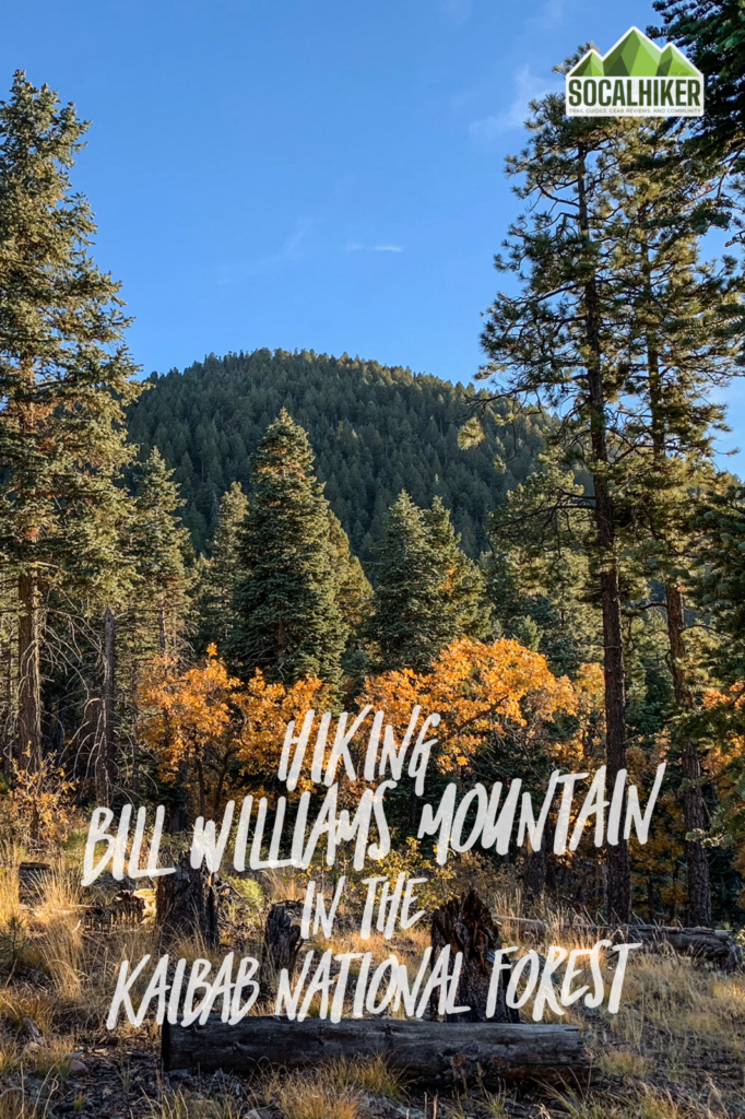 Hiking Bill Williams Mountain - SoCal Hiker