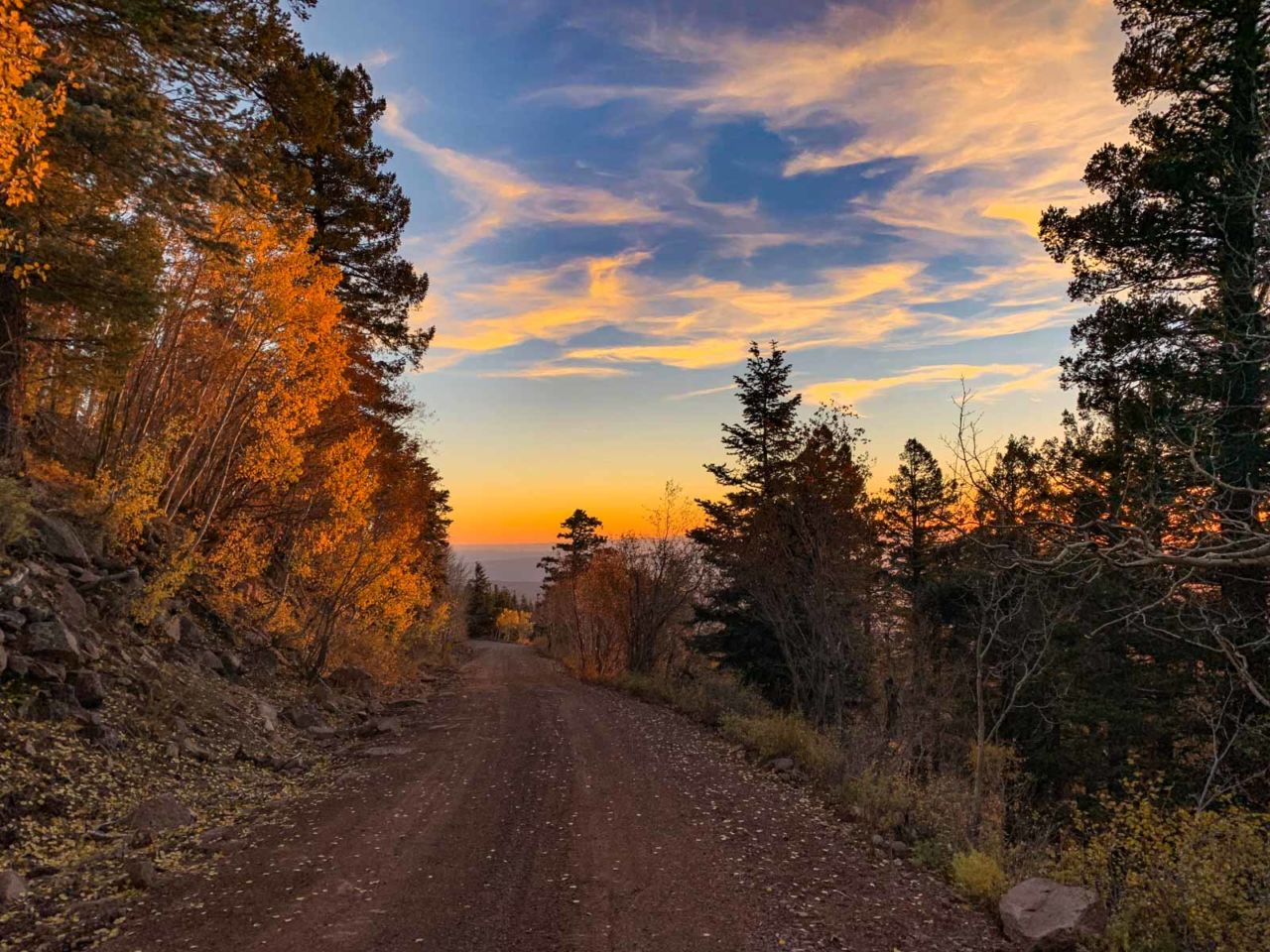Hiking Bill Williams Mountain - SoCal Hiker