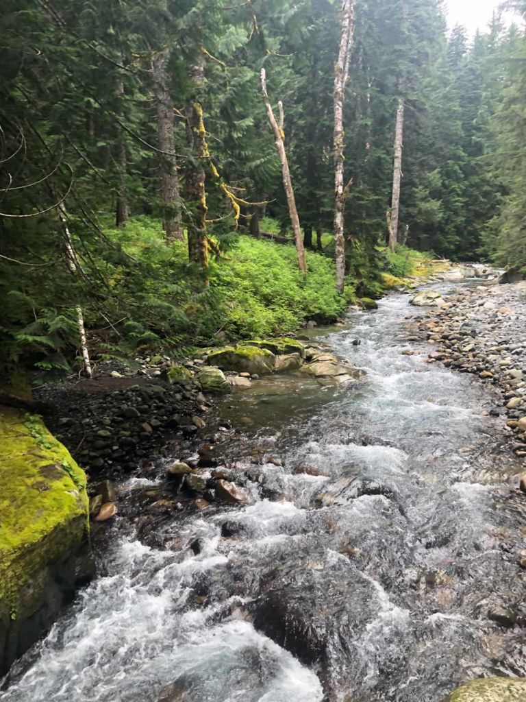 Wonderland Trail Day 12: Indian Bar to Maple Creek - SoCal Hiker