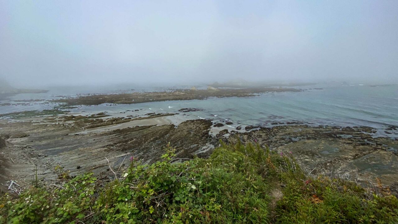 Hiking to the Simpson Reef Overlook on the Oregon Coast Trail - SoCal Hiker