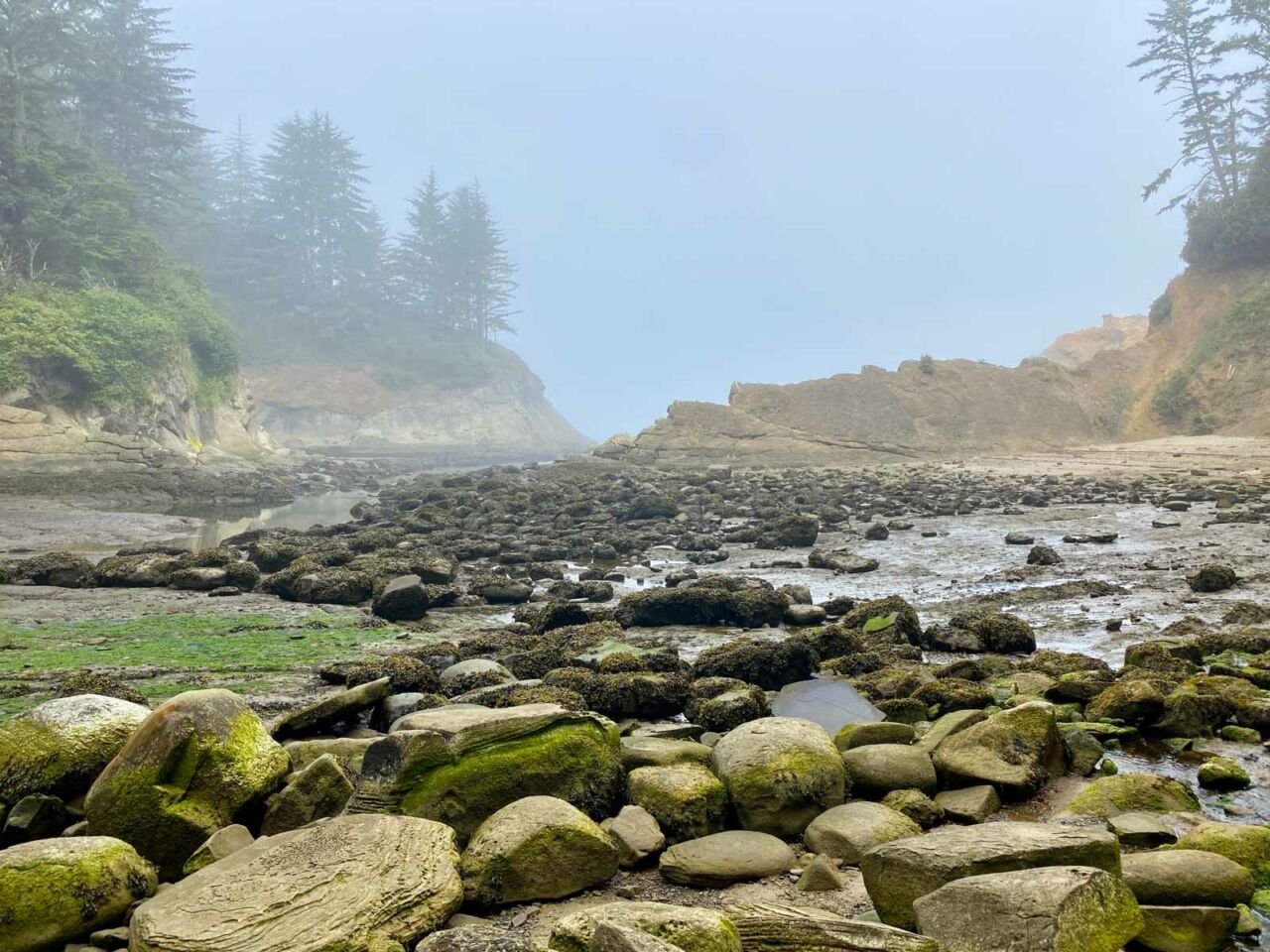Hiking to the Simpson Reef Overlook on the Oregon Coast Trail - SoCal Hiker