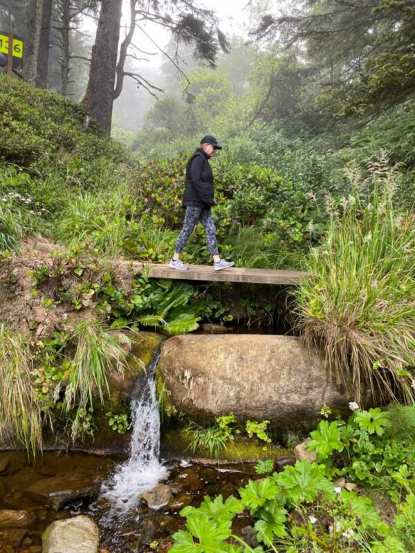 Hiking to the Simpson Reef Overlook on the Oregon Coast Trail - SoCal Hiker