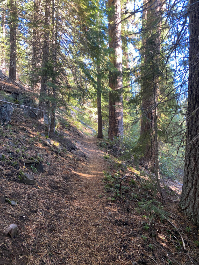Maiden Peak via the Maiden Lake Trailhead