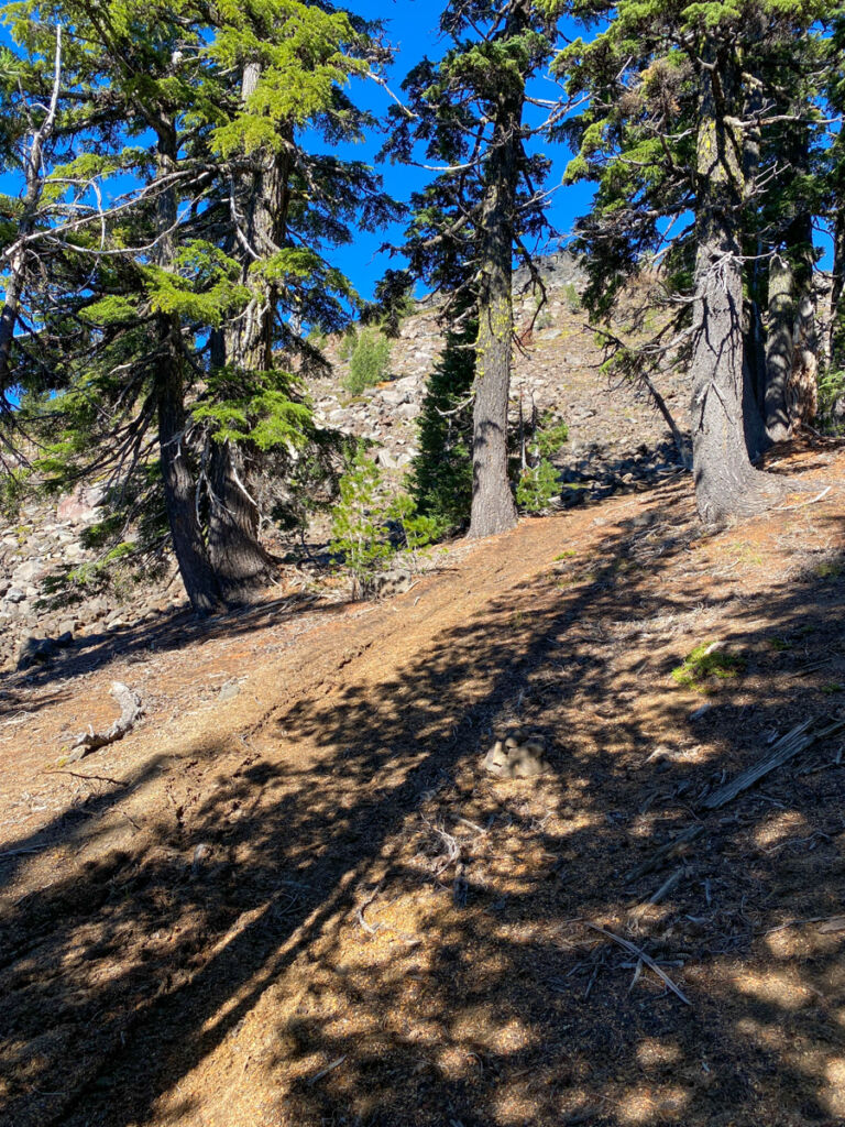 Maiden Peak via the Maiden Lake Trailhead