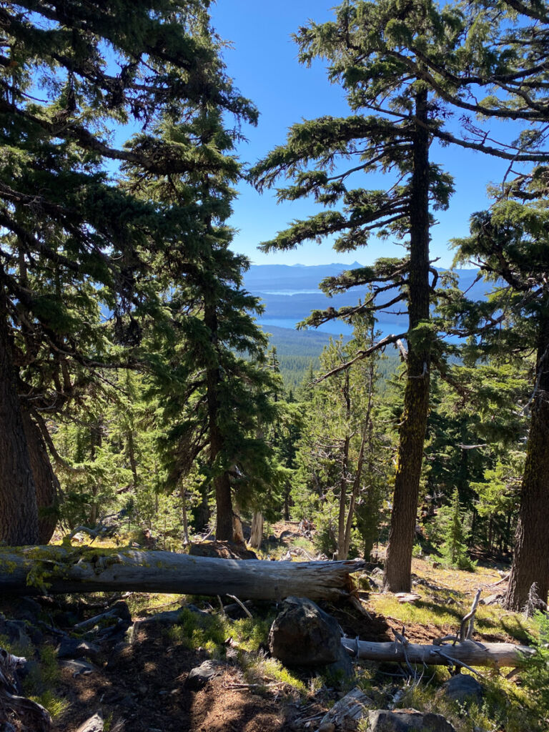Maiden Peak via the Maiden Lake Trailhead