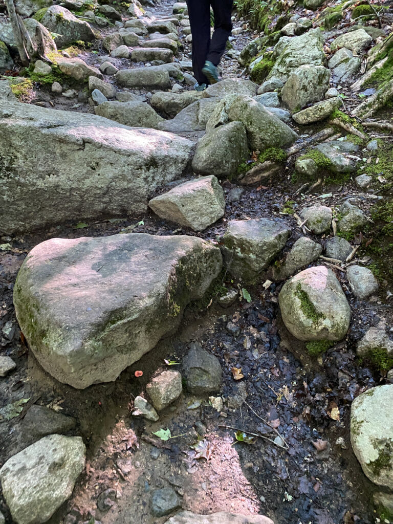 Hiking the Welch-Dickey Loop in the White Mountain National Forest ...