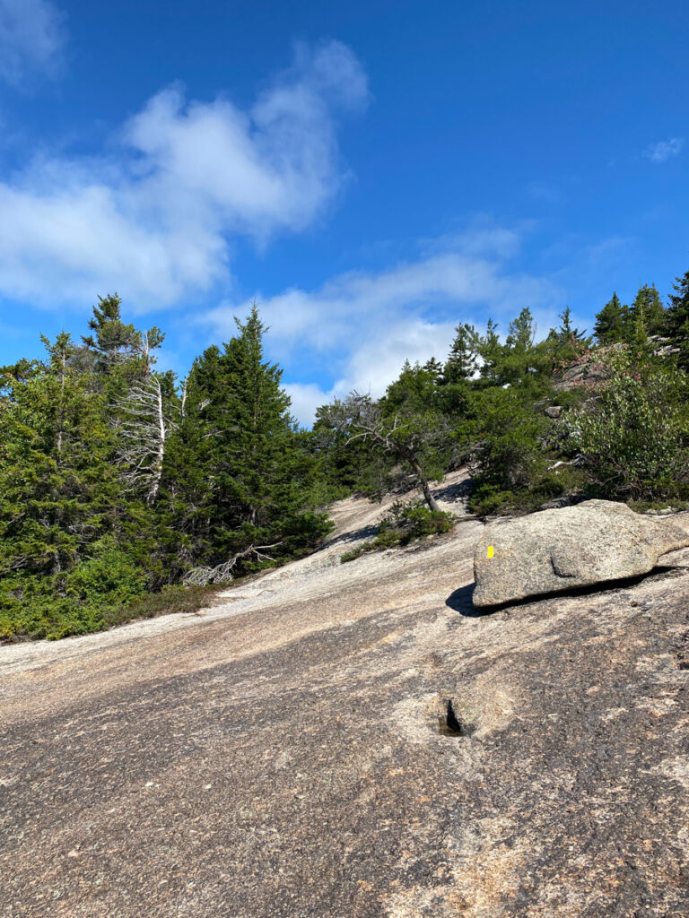Hiking the Welch-Dickey Loop in the White Mountain National Forest ...