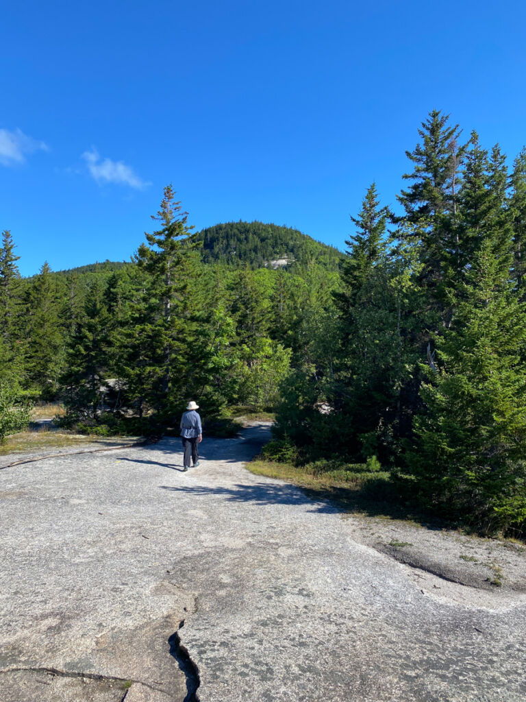 Hiking the Welch-Dickey Loop in the White Mountain National Forest ...